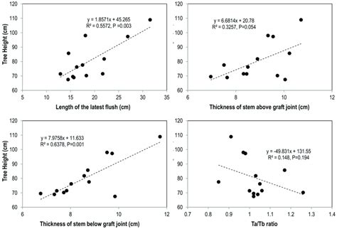 Linear Correlation Analyses Between Tree Height And Length Of The