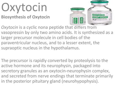 Partogram Ppt