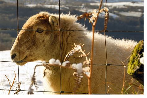 Git Stashing Managing Your Work In Progress By Pankaj Kholiya Dev Genius