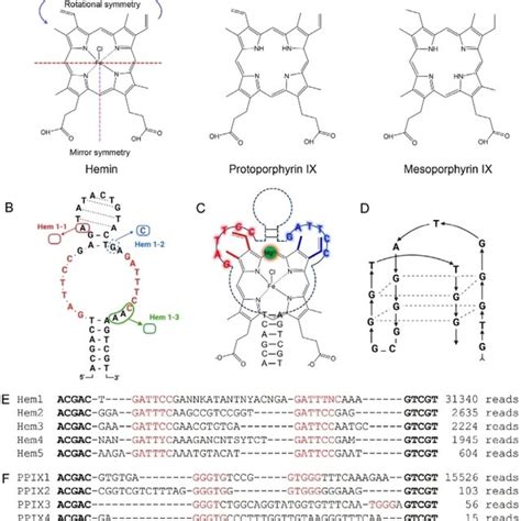 A The Structures Of Hemin Ppix And Mpix B The Predicted Secondary Download Scientific