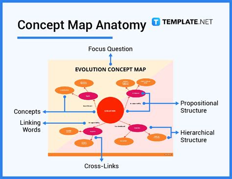 Concept Definition Map