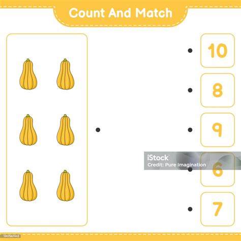 카운트 앤 매치 버터넛 스쿼시의 수를 계산하고 올바른 숫자와 일치합니다 교육 어린이 게임 인쇄 워크 시트 벡터 일러스트레이션 0명에 대한 스톡 벡터 아트 및 기타 이미지