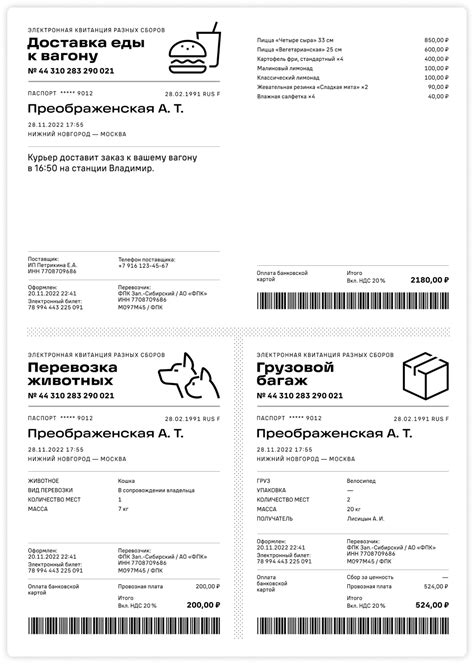 Концепция системы проездных документов РЖД