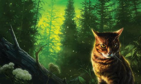 Tigerstar Warrior Cats