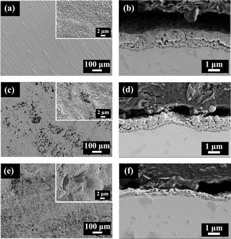 Representative Anodized Layer Surface Morphologies And Cross Sectional