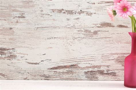 큰 아름 다운 꽃이 핌으로 거 베라는 어떤 매의 멋진 장식 또는 컷 꽃으로 장식 개화에 대한 스톡 사진 및 기타 이미지 개화 거베라데이지 계절 Istock