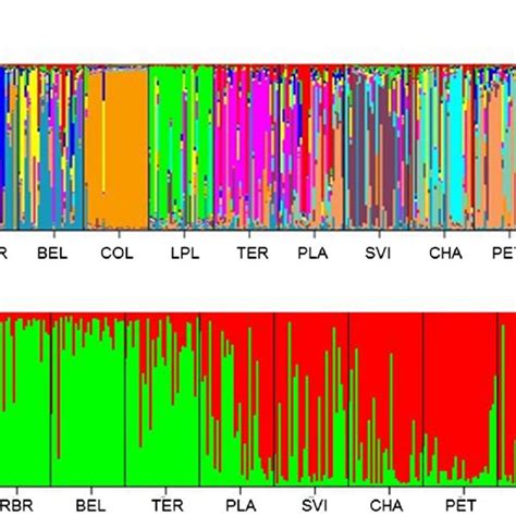 Multilocus Cluster Bayesian Analysis Of Microsatellite Genotypes Download Scientific Diagram