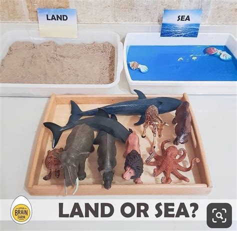 Ocean Process Art Project For Preschoolers Artofit