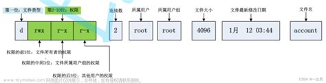 头歌 第 关Linux文件权限修改Linux文件 目录高级管理一 Toy模板网