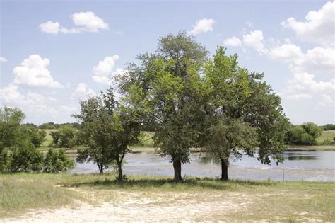 Zion Trails Community Poolville Tx ®