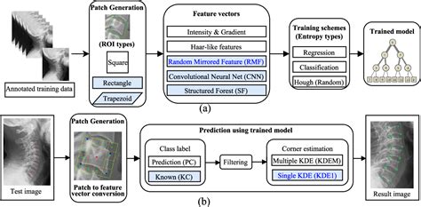 Figure 2 From Patch Based Corner Detection For Cervical Vertebrae In X Ray Images Semantic Scholar