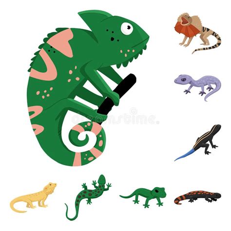 Vector Design Of Animal And Reptile Icon Collection Of Animal And