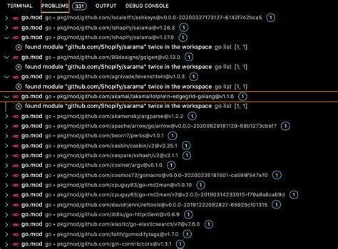 X Tools Gopls Duplicate Module In Workspace With ExperimentalWorkspaceModule Issue