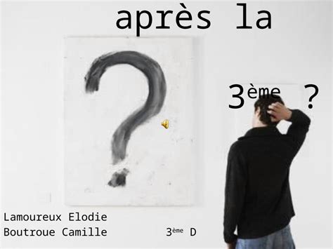 Ppt Que Faire Après La 3 ème Lamoureux Elodie Boutroue Camille 3 ème D Dokumen Tips