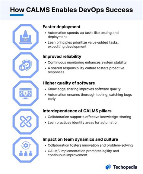 What Is Calms Definition Pillars And How It Works