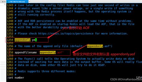九 Redis 持久化 Aof详细讲解说明，一个配置一个说明分析，步步讲解到位 2 知乎