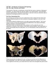 SexAgeAncestryStature Lab 2 Docx ANT 256 Introduction To Forensic Anthropology Lab Sex Age