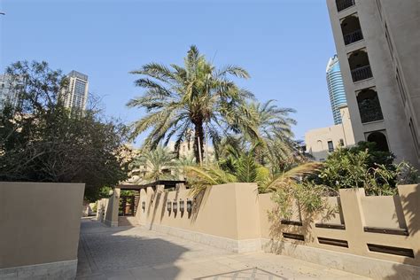 Reehan Propsearch Ae