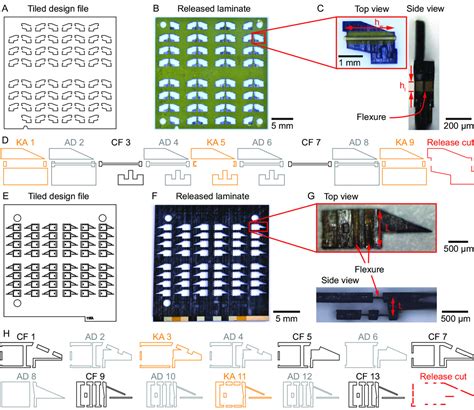 Modular And Scalable Fabrication Of Insect‐scale Aerial Robots Toward Demonstrating Swarm