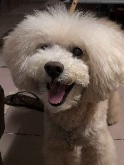 Untitled Leung Morrisa Flickr