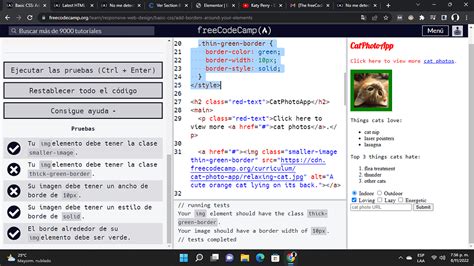Basic CSS Add Borders Around Your Elements HTML CSS The FreeCodeCamp Forum