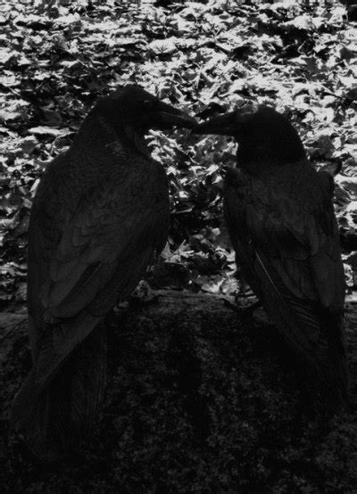 My Relatives Are Affectionate Tumbex