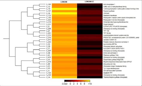 Heat Map Representation Of Relative Expression Based On RPKM Values