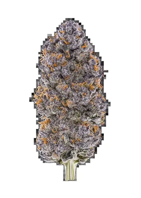 Blue Raspberry Cannabis Strain Information Growdiaries
