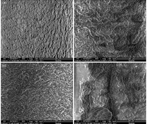 Sem Micrographs Of Films Cross Sections Of Ca A And B And Ca Ge Mmt 5