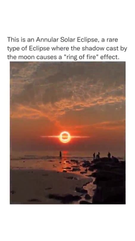 Wow🤯 Source Tumbex Wow🤯 Source Tumbex