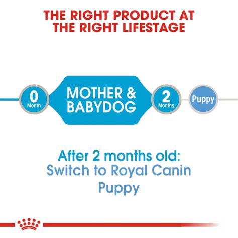 کنسرو غذای مادر و توله سگ رویال کنین Royal Canin Starter Mother