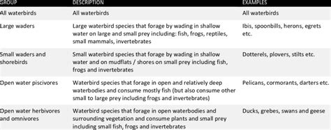 Waterbird Functional Groups Selected Based On Combined Habitat And