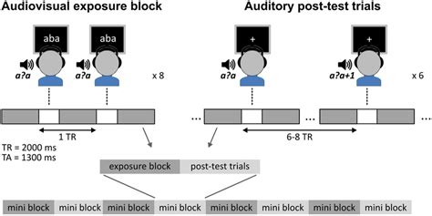 Experimental Design Schematic Overview Of The Fmri Stimulation Download Scientific Diagram