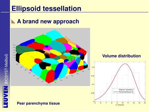 Ppt Ellipsoid Tessellation Algorithm For Modelling Fruit