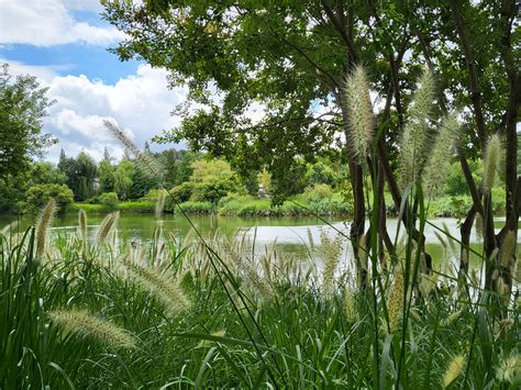 쇼위플로라 스쿨 Showy Flora School 쇼위 플로라 스쿨 천안국비지원 쇼위 국비 수업 9월10월 개강안내 천안꽃국비지원 천안내일이룸카드