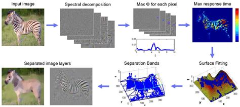 Algorithm Flow Of The Separation Surface Download Scientific Diagram