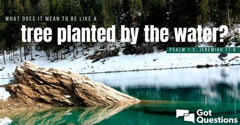 What Does It Mean To Be Like A Tree Planted By The Water Psalm Jeremiah
