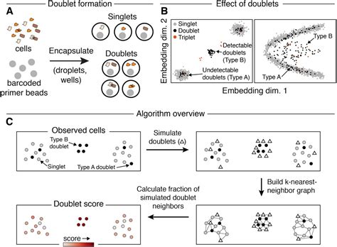 Scrublet: computational identification of cell doublets in single-cell ...