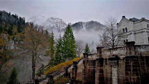 tour to neuschwanstein — yuanzhi zhu
