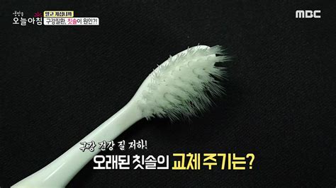 구강 건강 절대 지켜 칫솔 교체 시기와 소독법 기사상세 Imbc 연예