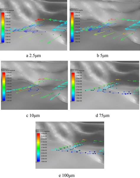 Movement Trajectories Of Dust Particles Of Five Particle Sizes By