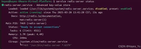 【2025】ubuntu24 04安装redis详细教程 csdn博客