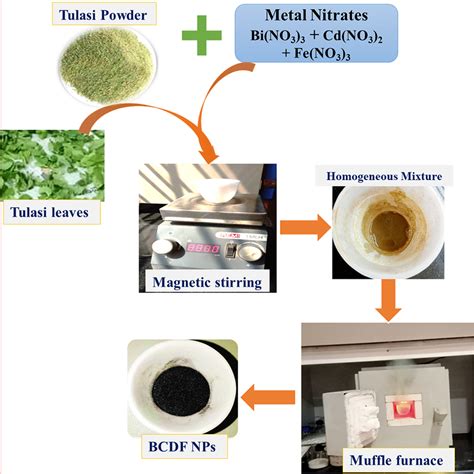 The Schematic Representation Of Synthesized Bcdf Nanomaterials