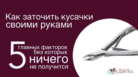 Как заточить кусачки своими руками. 5 ГЛАВНЫХ ФАКТОРОВ, БЕЗ КОТОРЫХ ...