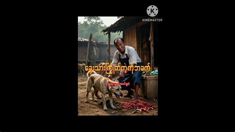 ခွေးသားကြီုက်တဲ့ကိုဘခက် ပရလောက အောက်လမ်း တာတေ အစိမ်းသေ သရဲ သရဲအသံဇာတ်လမ်း မဖဲဝါအသံဇာတ်လမ်းမ