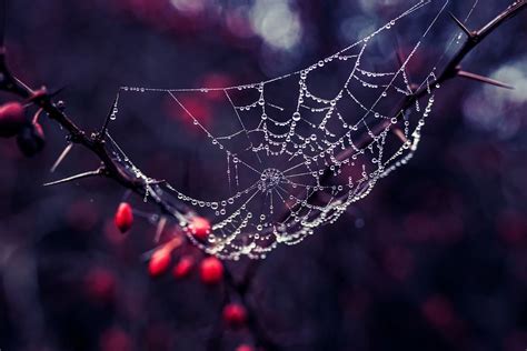 deepak wadhwa david on linkedin angular best practices tips for