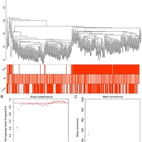 Sample Clustering Tree And Soft Threshold Power Analysis A Sample