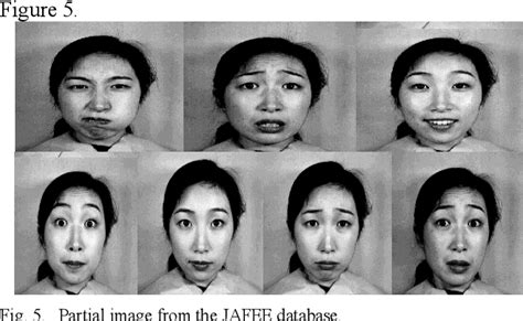 Figure 5 From A Robust Facial Expressions Recognition System Using Deep Learning Architectures