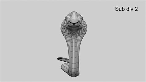 Snake Model TurboSquid