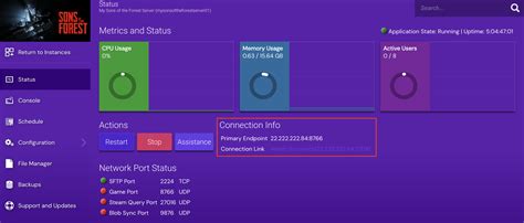Sons Of The Forest Dedicated Server Setup Guide